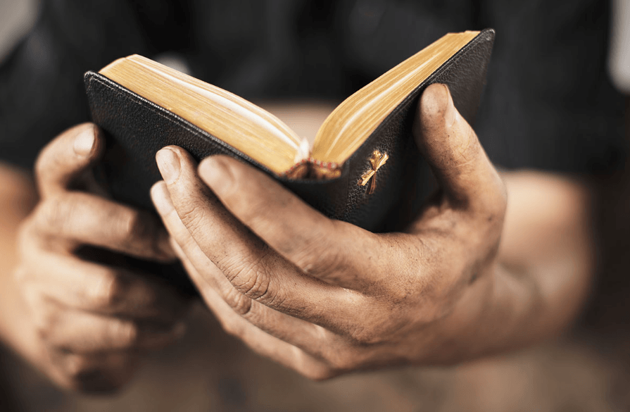 Self-Examination: Let Each Man Examine Himself According To God's Word ...